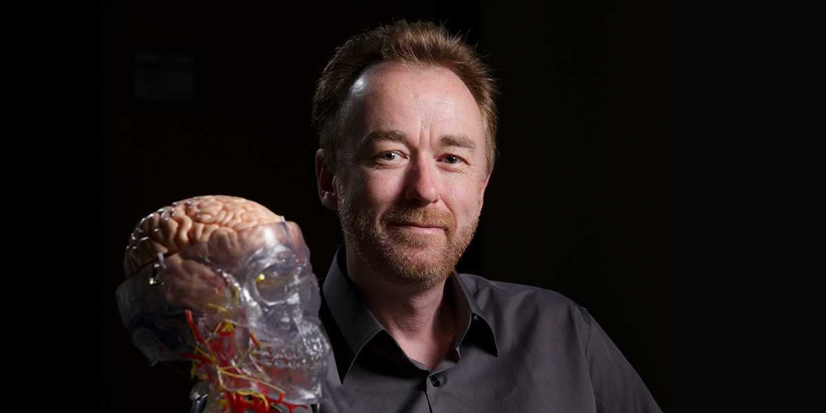 Into The Gray Zone - Mind Science