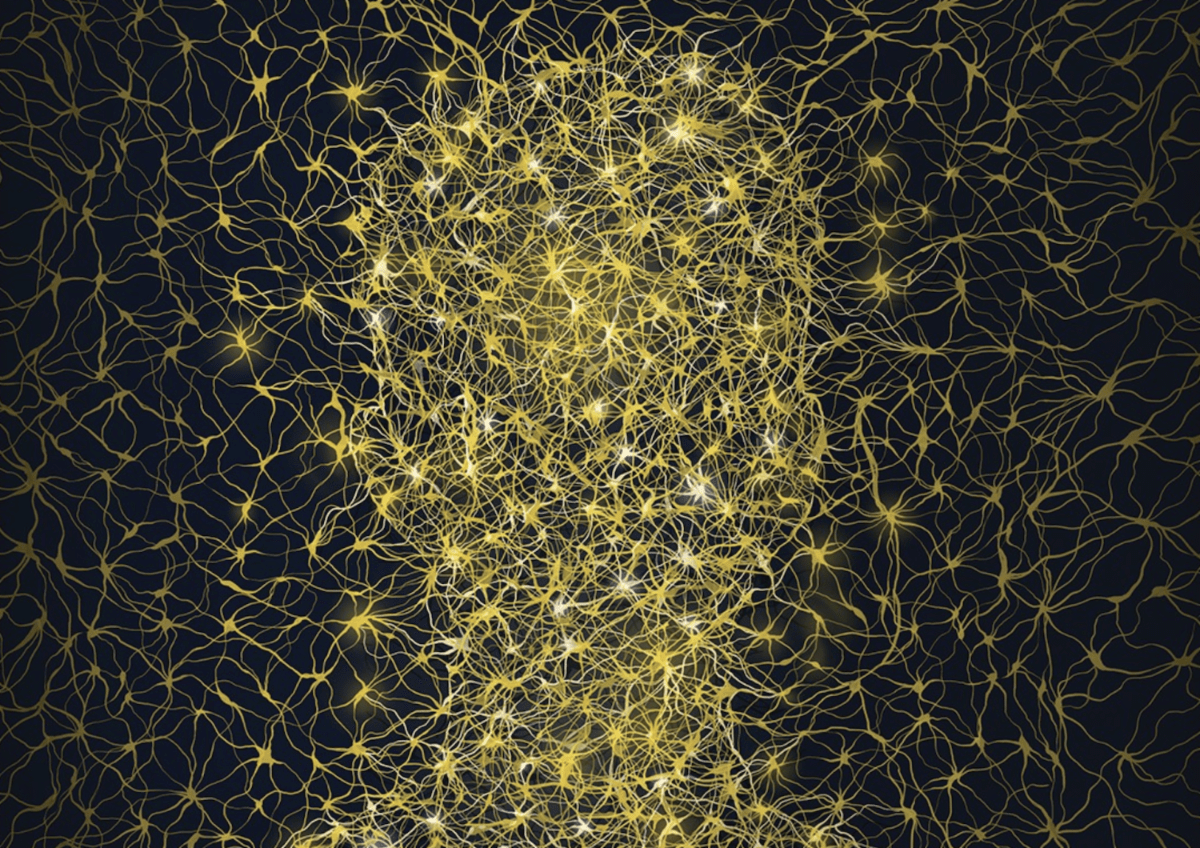 Decoding and explaining consciousness - Mind Science