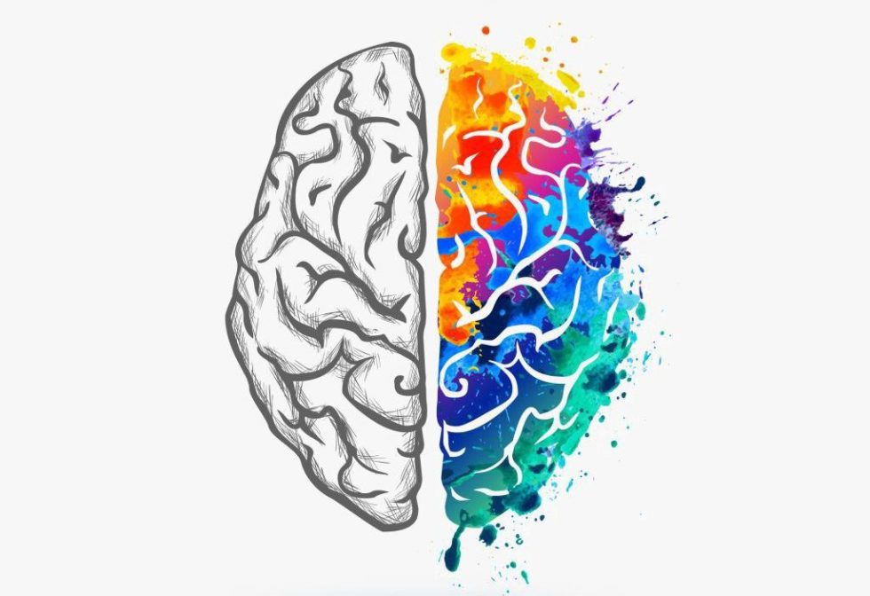 Beauty Perception and Your Brain - Mind Science
